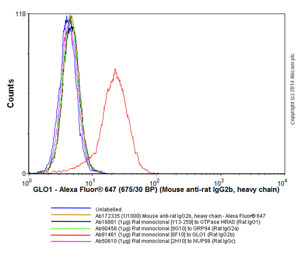 Mouse Mono Anti Rat (IgG2b heavy chain) secondary antibody Alexa Fluor ...