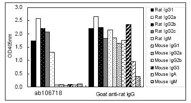Mouse Anti-Rat IgG (HRP) secondary antibody (ab106718) | Abcam