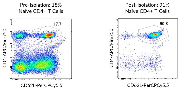Mouse Naive CD4+ T Cell Isolation Kit (ab322029) | Abcam