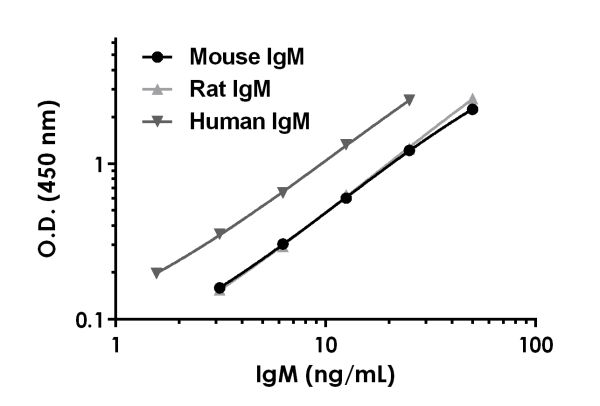 Mouse/Rat IgM ELISA Kit (ab215085) | Abcam