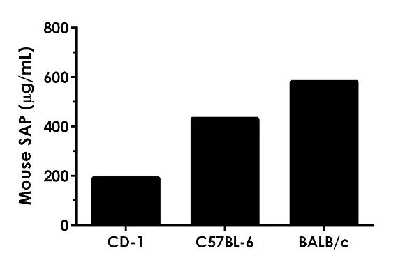 Mouse SAP ELISA Kit, colorimetric, 90-min ELISA (ab235639) | Abcam