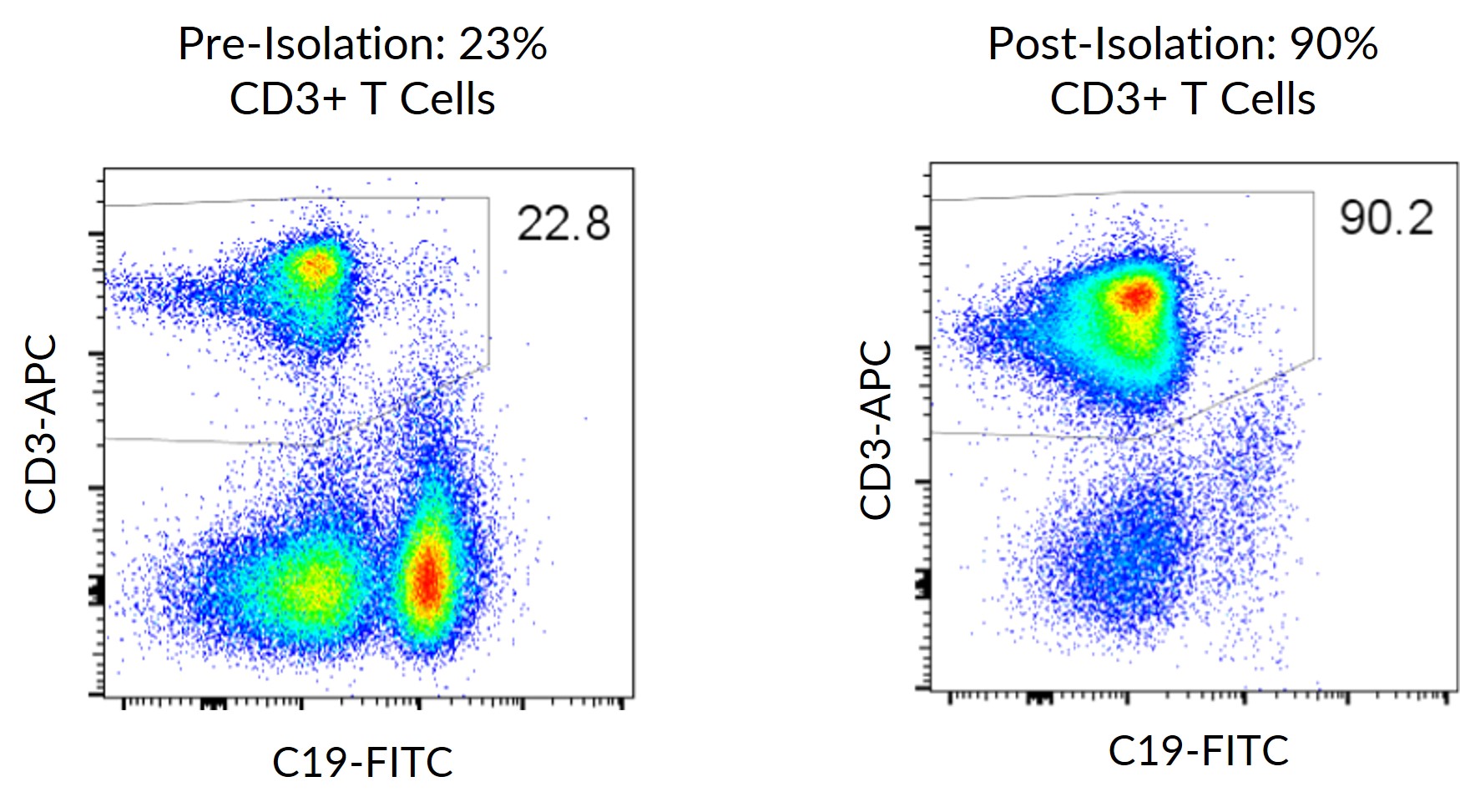 Mouse T Cell Isolation Kit (ab322027) | Abcam