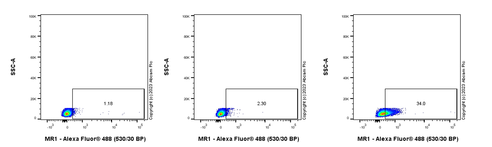 Anti-MR1 antibody [EPR25671-79] (ab308502) | Abcam