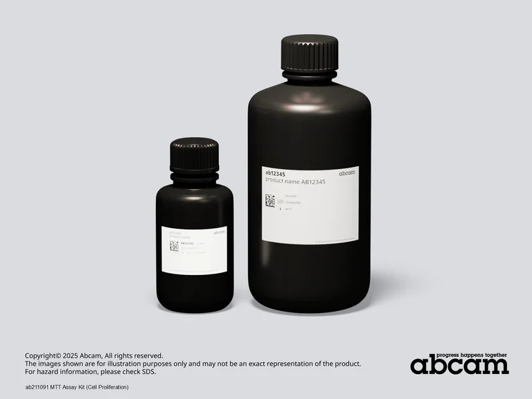 MTT Assay Kit (Cell Proliferation) (ab211091) | Abcam