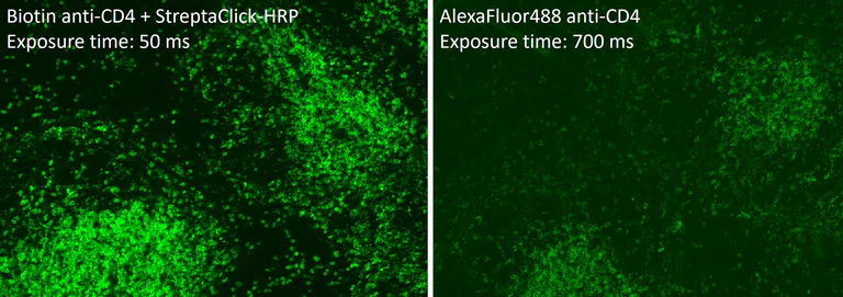 Multiplex Ihc Detection Kit Tsa Amplification Ab312827 Abcam