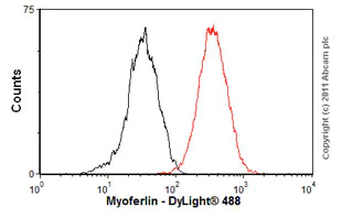 Anti-Myoferlin antibody [7D2] (ab76746) | Abcam