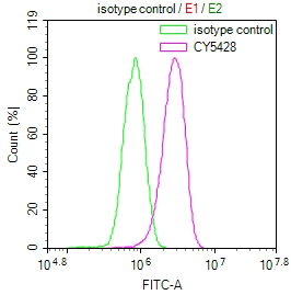 Anti-Myosin light chain kinase/MLCK antibody [28C5] (ab314185) | Abcam