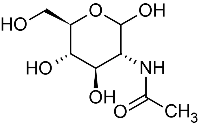 N-Acetyl-D-glucosamine, N-Acetyl derivative of glucosamine (CAS 72-87-7 ...