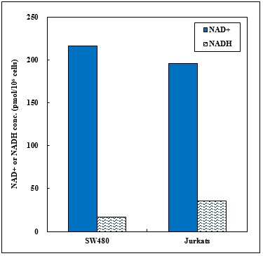 NAD/NADH Assay Kit II (colorimetric) (ab221821) | Abcam