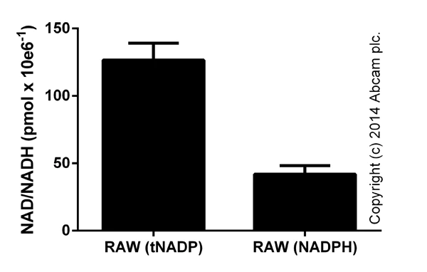 NADP/NADPH Assay Kit. Colorimetric. (ab65349/K347) | Abcam