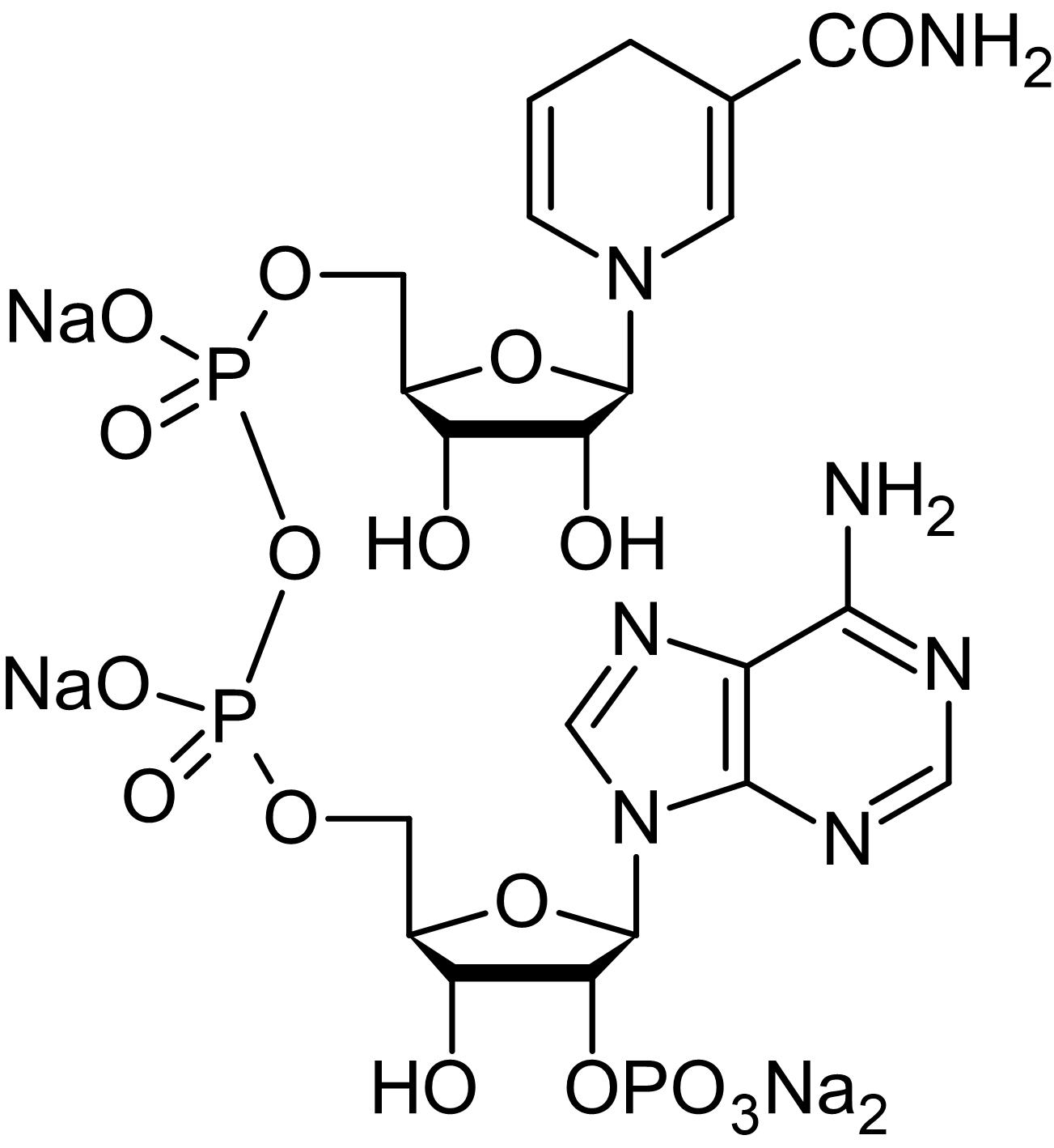 NADPH, Coenzyme (CAS 2646-71-1) (ab146317) | Abcam