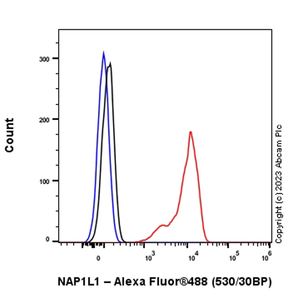 Anti-NAP1L1 antibody [RM1101] - BSA and Azide free (ab315247) | Abcam