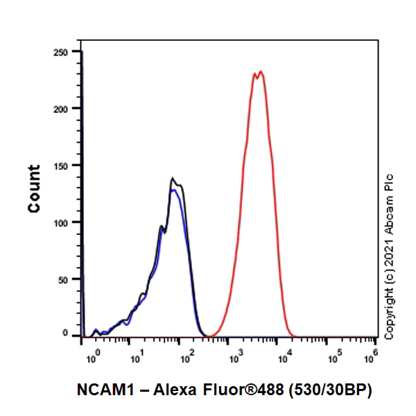 Anti-NCAM1 antibody [EP2567Y] - Low endotoxin, Azide free (ab215981 ...