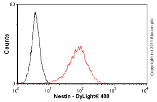 Nestin抗体[2C1.3A11] - Neural Stem Cell Marker (ab18102)| Abcam中文官网