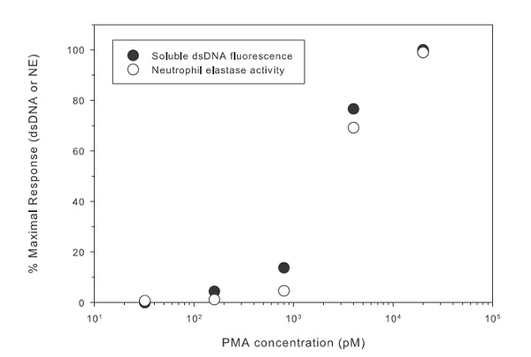 NETosis Assay Kit for Neutrophils (ab235979) | Abcam