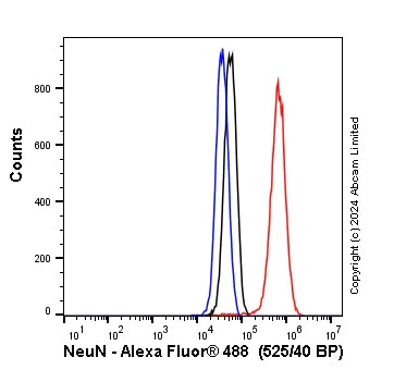 Anti-NeuN antibody, neuronal marker [EPR12763] (ab177487) | Abcam