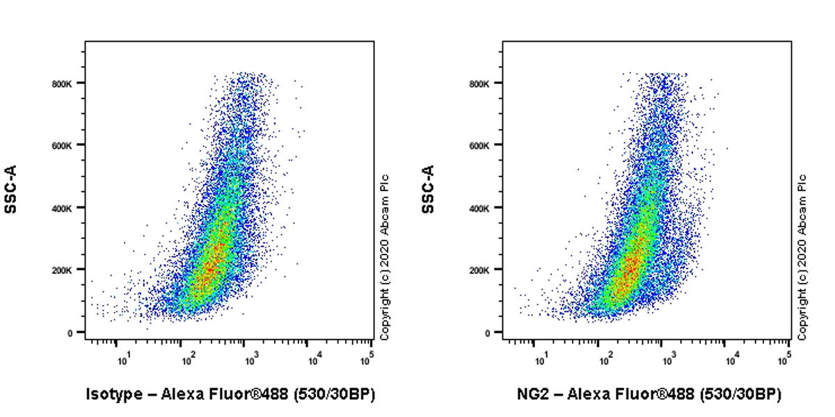 Anti-NG2 antibody [EPR23752-147] Rabbit monoclonal (ab259324) | Abcam