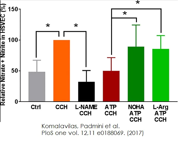 Nitric Oxide Assay Kit (Fluorometric) (ab65327) | Abcam
