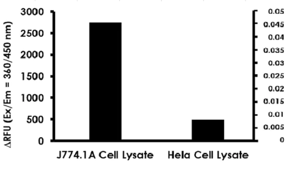 Nitric Oxide Synthase Activity Assay Kit (Fluorometric) (ab211084) | Abcam