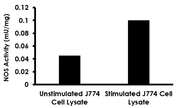Nitric Oxide Synthase Activity Assay Kit (Fluorometric) (ab211084) | Abcam