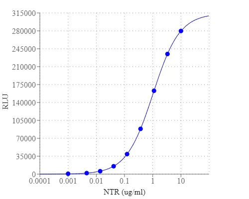 Nitroreductase Assay Kit (Luminometric) (ab324120) | Abcam