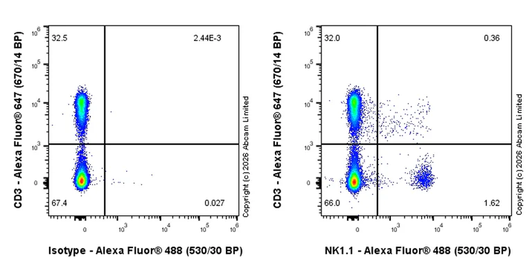 Anti-NKR-P1C/NK1.1 antibody [EPR22990-12-4R] - BSA and Azide free, low ...