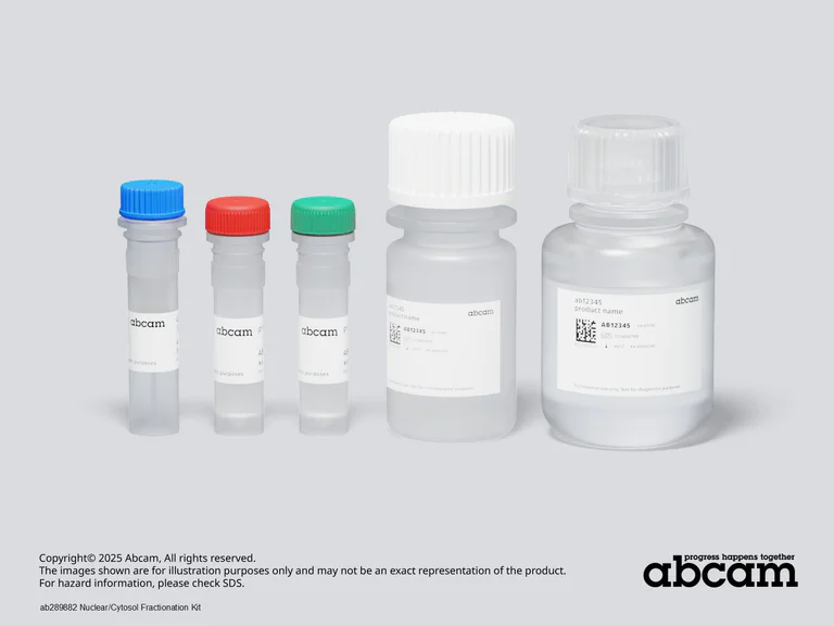 Nuclear/Cytosol Fractionation Kit (ab289882) | Abcam