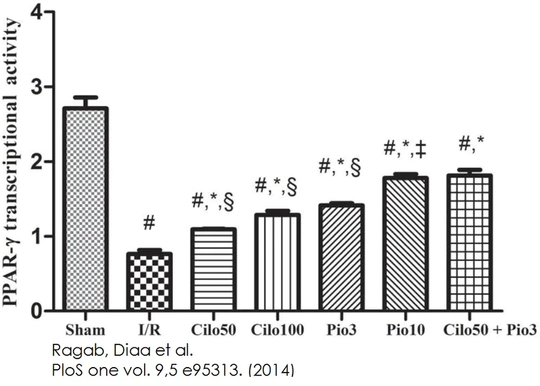 Nuclear extraction kit, 60-min assay, 100 tests (ab113474) | Abcam