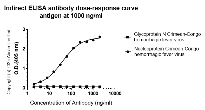 Anti-Nucleoprotein Crimean-Congo hemorrhagic fever virus antibody [BA11 ...