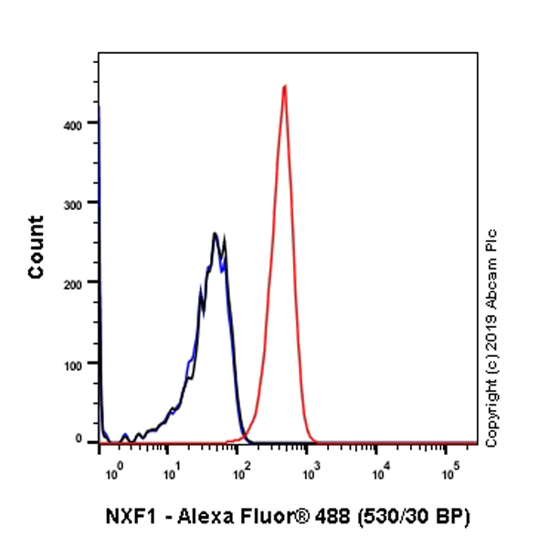 Anti-NXF1 antibody [EPR8009] (ab129160) | Abcam