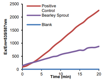 Oxalate Oxidase Assay Kit (ab241007) | Abcam