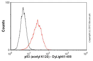 p53 (acetyl K120)抗体[10E5] (ab78316)| Abcam中文官网