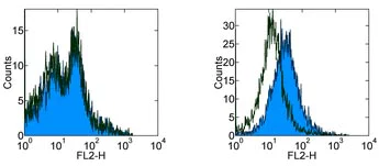 Anti-PD1 antibody [J43] (ab95789) | Abcam
