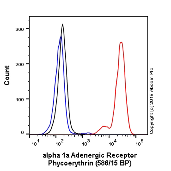 Anti-alpha 1a Adrenergic Receptor/ADRA1A antibody [EPR9691(B ...