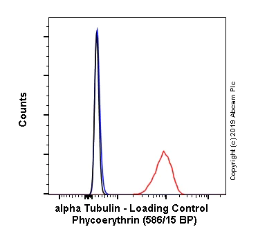 PE Anti-alpha Tubulin抗体[EPR13478(B)] - Microtubule Marker (ab225255 ...