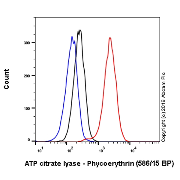 Anti-ATP citrate lyase PE antibody [EP704Y] (ab209750) IgG | Abcam