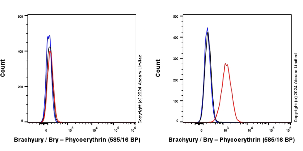 Anti-Brachyury / Bry PE antibody [EPR18113] (ab322524) IgG | Abcam