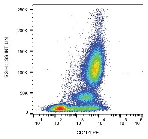Anti-CD101 PE antibody [BB27] (ab234248) Mouse monoclonal IgG1 | Abcam