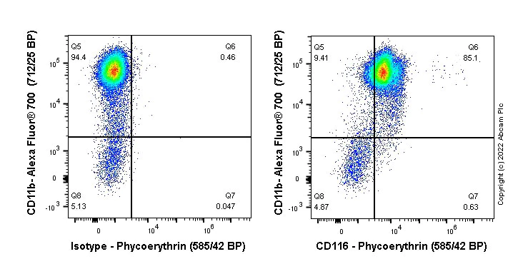 Anti-CD116 PE antibody [EPR24554-26] (ab306535) IgG | Abcam