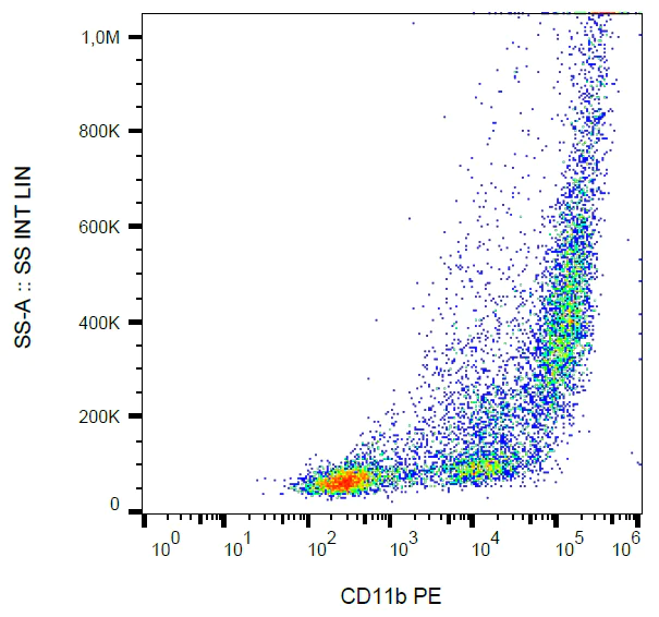 PE Anti-CD11b antibody [CBRM1/5] (ab269332) | Abcam