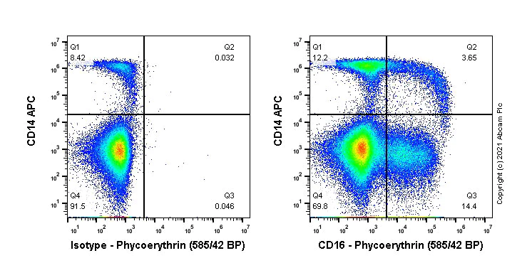 Anti-CD16 PE antibody [EPR22409-124] (ab270141) IgG | Abcam