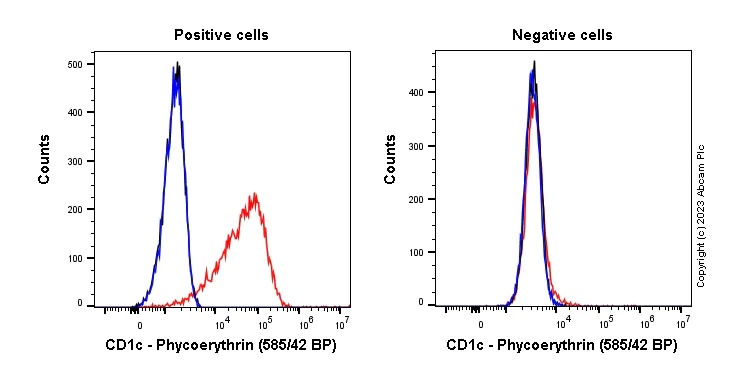PE Anti-CD1c antibody [EPR23189-305] (ab313954) | Abcam