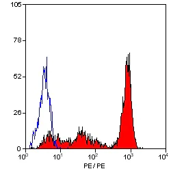 Anti-CD226 PE antibody [DX11] (ab33337) Mouse monoclonal IgG1 | Abcam