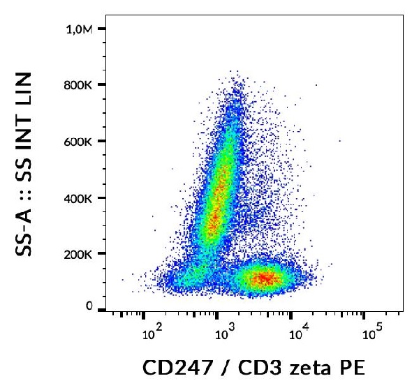 Anti-CD3 zeta PE antibody [H146-968] (ab243075) IgG2 | Abcam