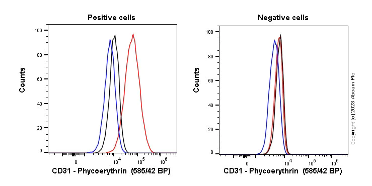 Anti-CD31 PE antibody [MEC 7.46] (ab314282) Rat monoclonal IgG1 | Abcam
