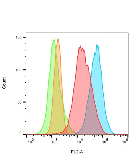 CD70抗体[BU69] (ab77868)| Abcam中文官网