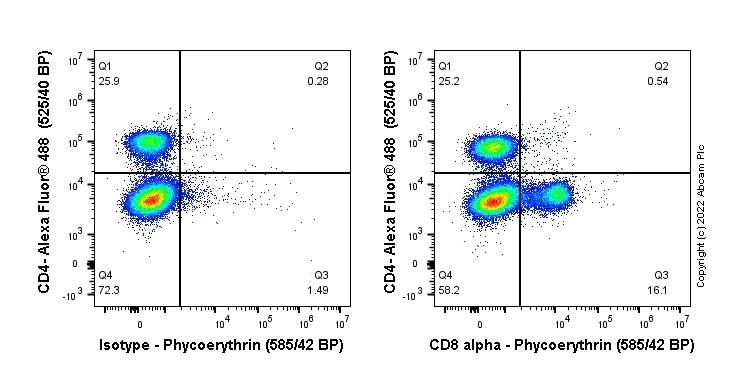 Anti-CD8 PE antibody [EPR21769-43] (ab306536) Rabbit monoclonal IgG | Abcam