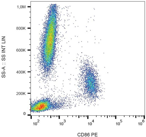 Anti-CD86 PE antibody [BU63] (ab77226) Mouse monoclonal IgG1 | Abcam
