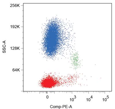 Anti-CD86 PE antibody [BU63] (ab77226) Mouse monoclonal IgG1 | Abcam