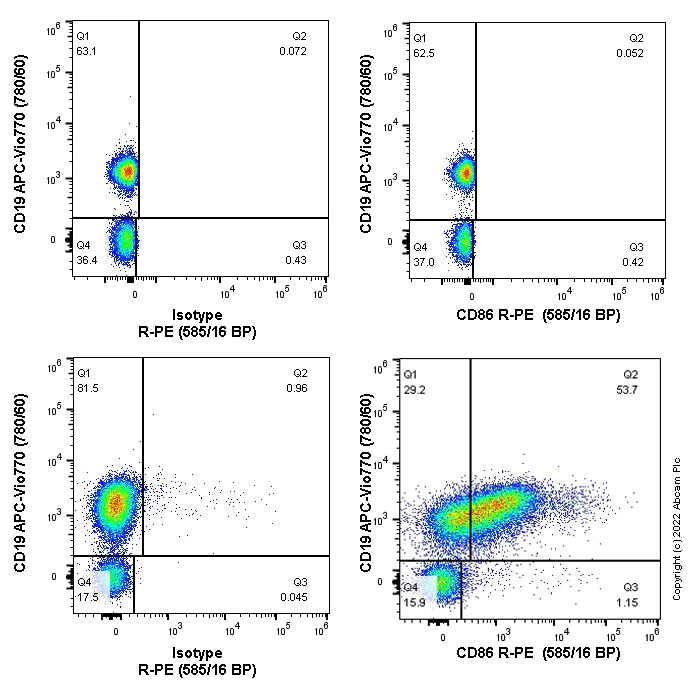 Anti-CD86 PE antibody [EPR22958-106] (ab275357) IgG | Abcam